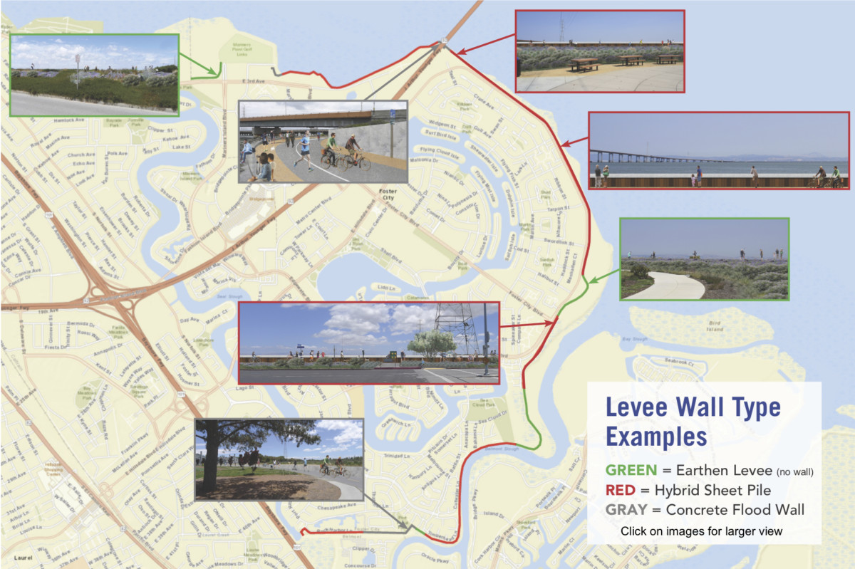 Media Gallery | Foster City Levee Project
