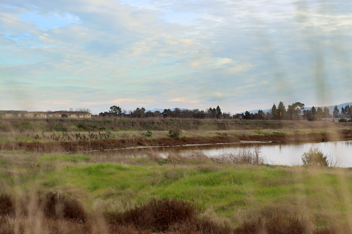 About | Foster City Levee Project